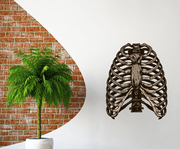Skeleton Bone Vinyl Wall Decal SkeletonBoneUScolor008, 72 in ...