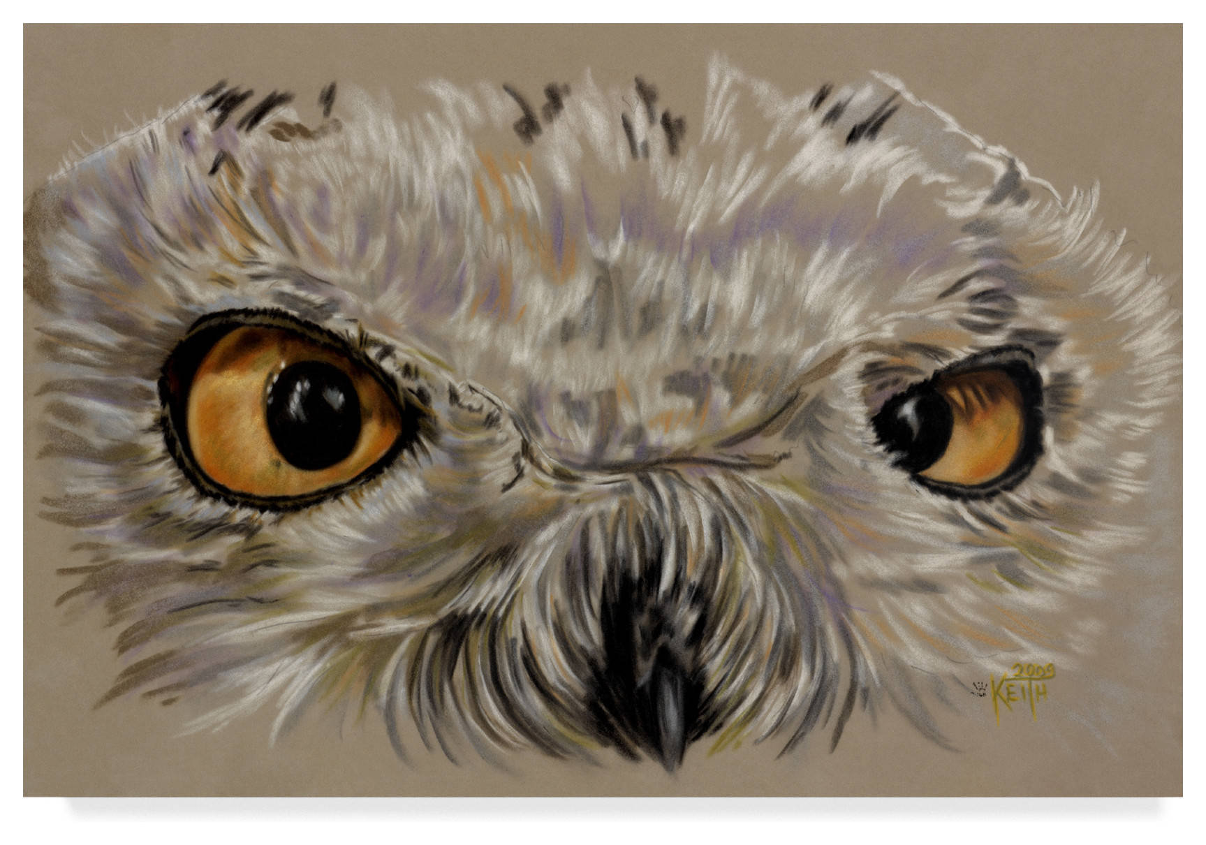 "Snowy Owl" by Barbara Keith, Canvas Art, 16"x24" - Rustic - Prints And ...