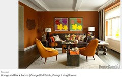burnt orange feature wall?. | Houzz AU