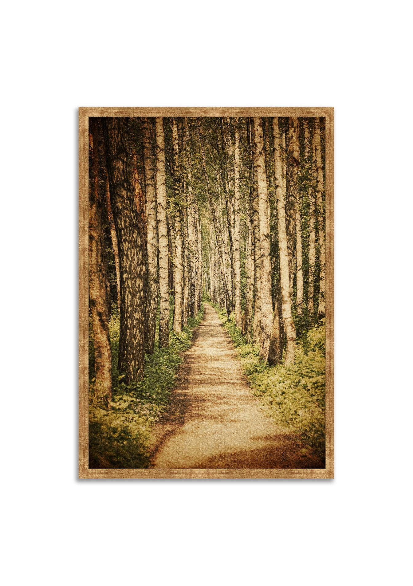 "The Old Aspen Trail", Framed Photograph Print, Ready to Hang, 26"x38 ...