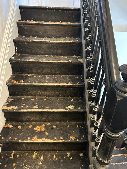 Stair Tread Damage