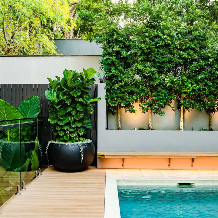 75 Beautiful Small Pool Ideas & Designs - June 2026 | Houzz AU