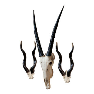 African Wall Trophies Set - Southwestern - Wall Sculptures - by Design ...