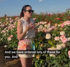 Grace Rose Farm — Customer Feedback | Houzz Forum