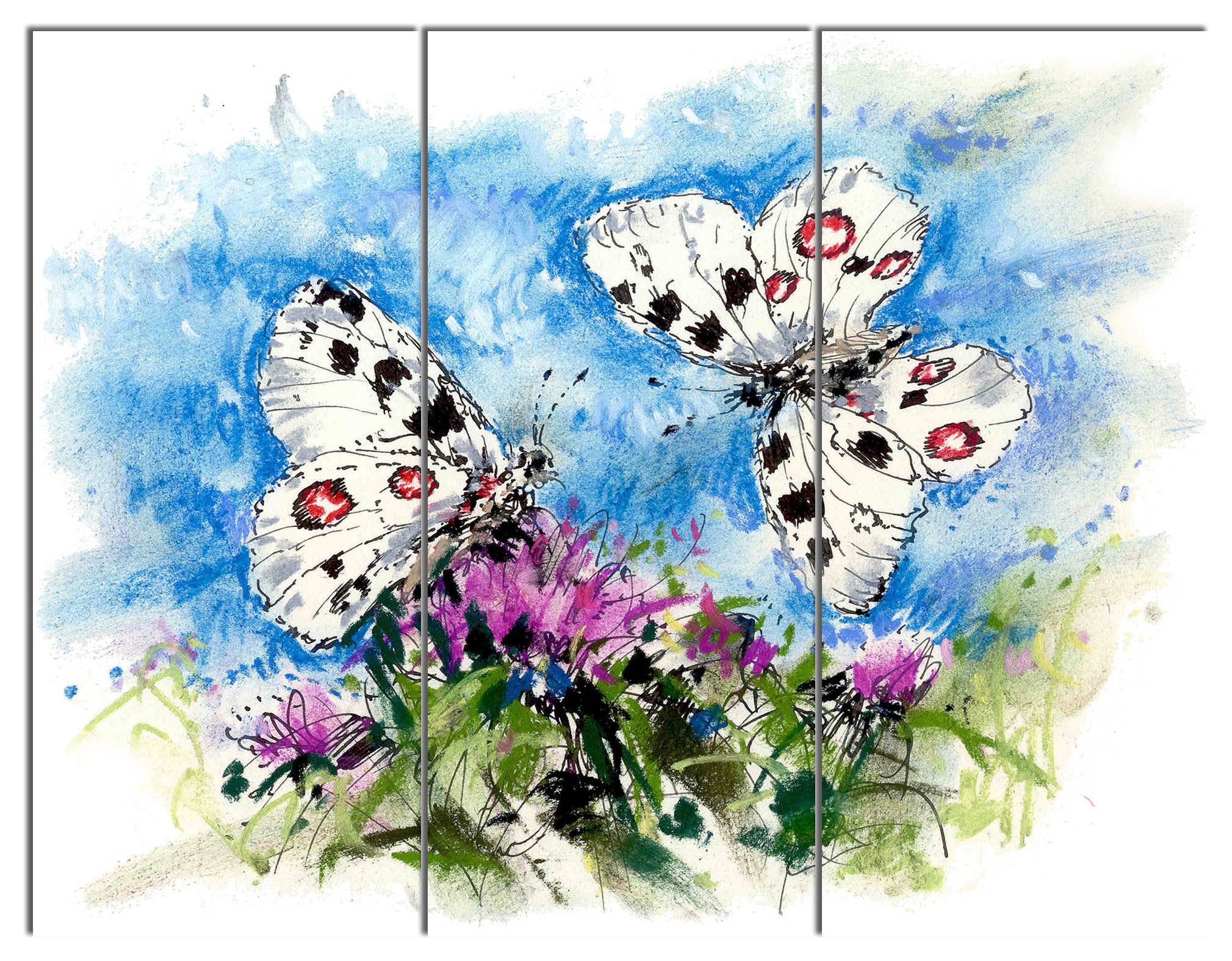 "Apollo Butterflies Illustration on Blue", 36"x28" - Contemporary ...
