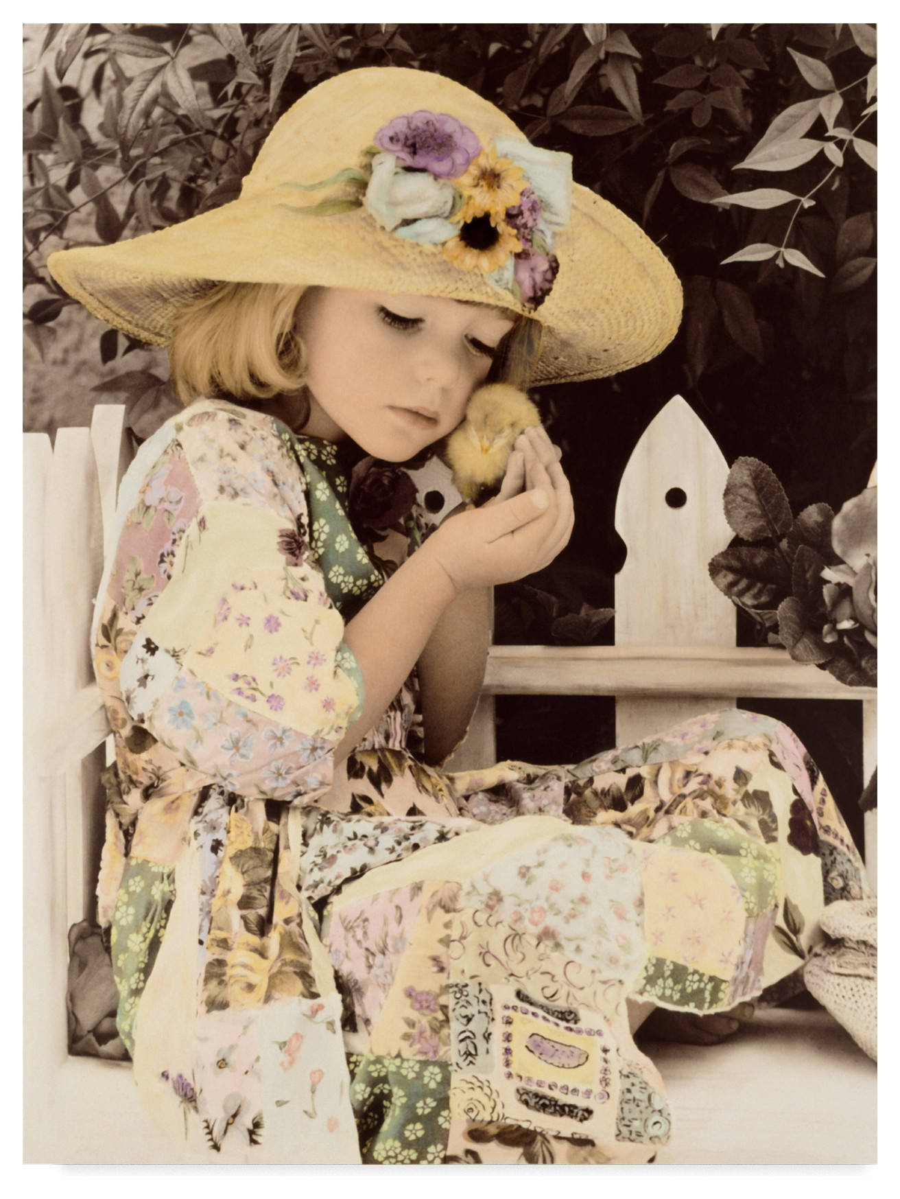 Sharon Forbes 'Cheek To Chick' Canvas Art, 24"x18" - Farmhouse - Prints ...