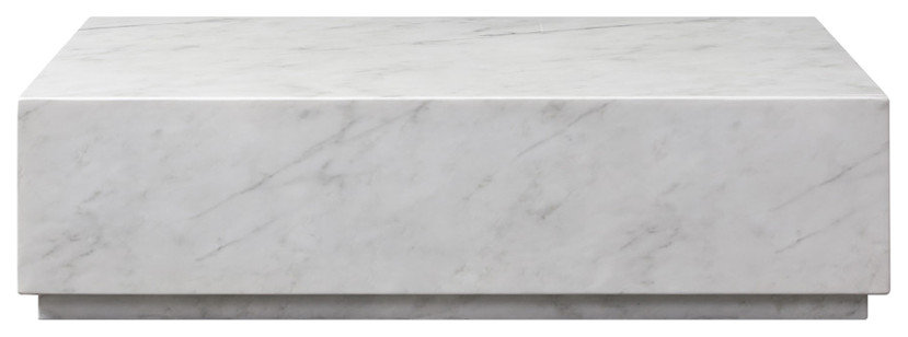 Iris Rectangular Coffee Table, White - Contemporary - Coffee Tables - by First of a Kind USA Inc ...