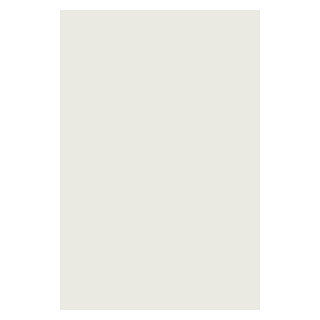 Stone White, Quart - Traditional - Paint - by The Paint Store @ Ronald ...