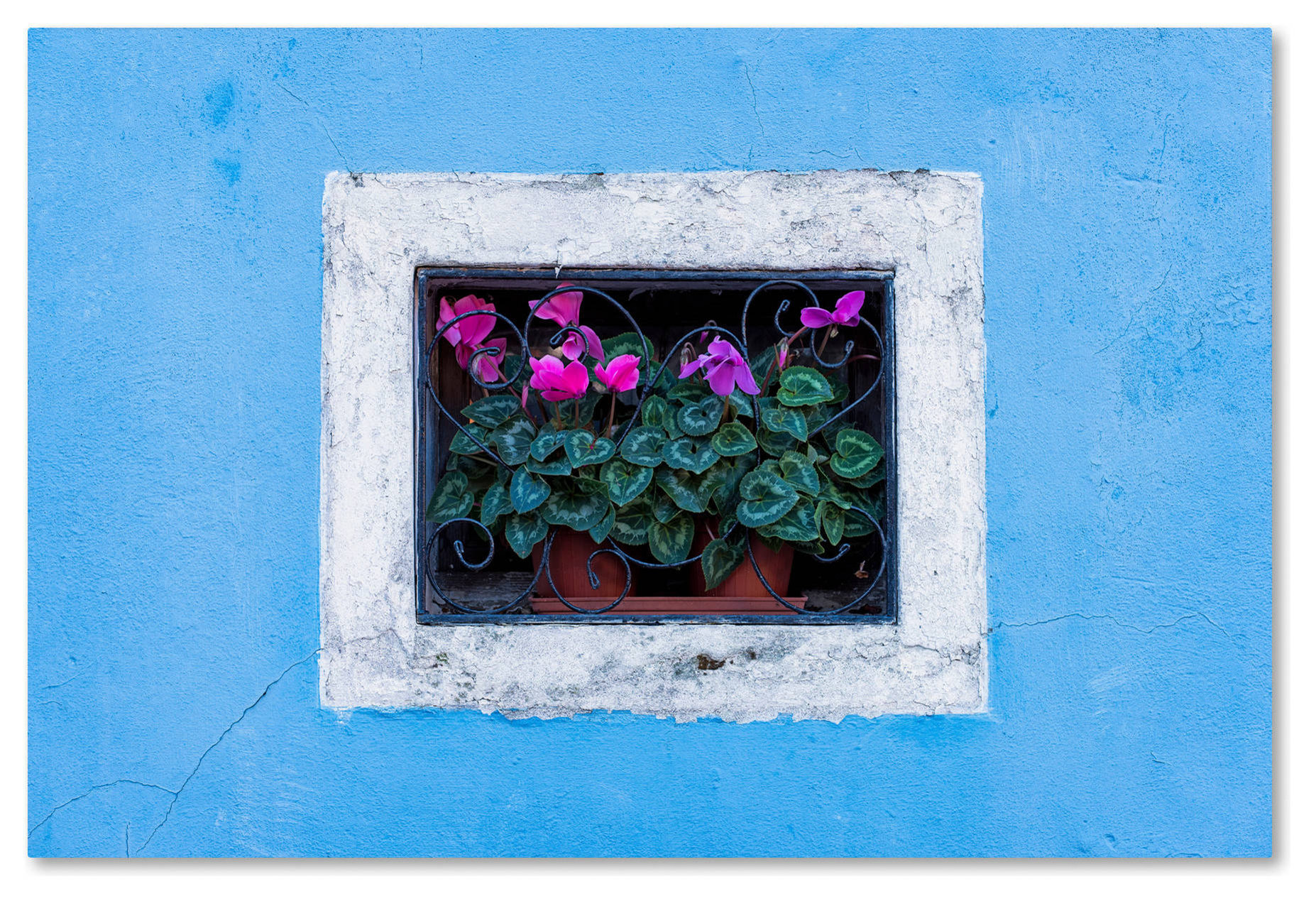 Michael Blanchette 'Caged and Framed' Canvas Art, 19"x12 ...