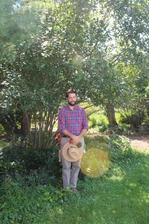 SEASIDE ALDER ANYONE?