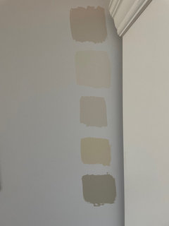 light neutral paint color