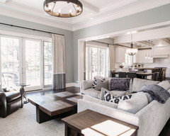 Sherwin Williams Network Gray