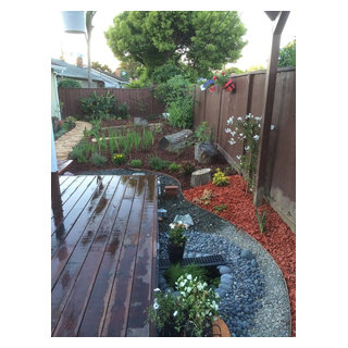 Backyard: Now a Permaculture Oasis - San Francisco - by Vani Bahl ...