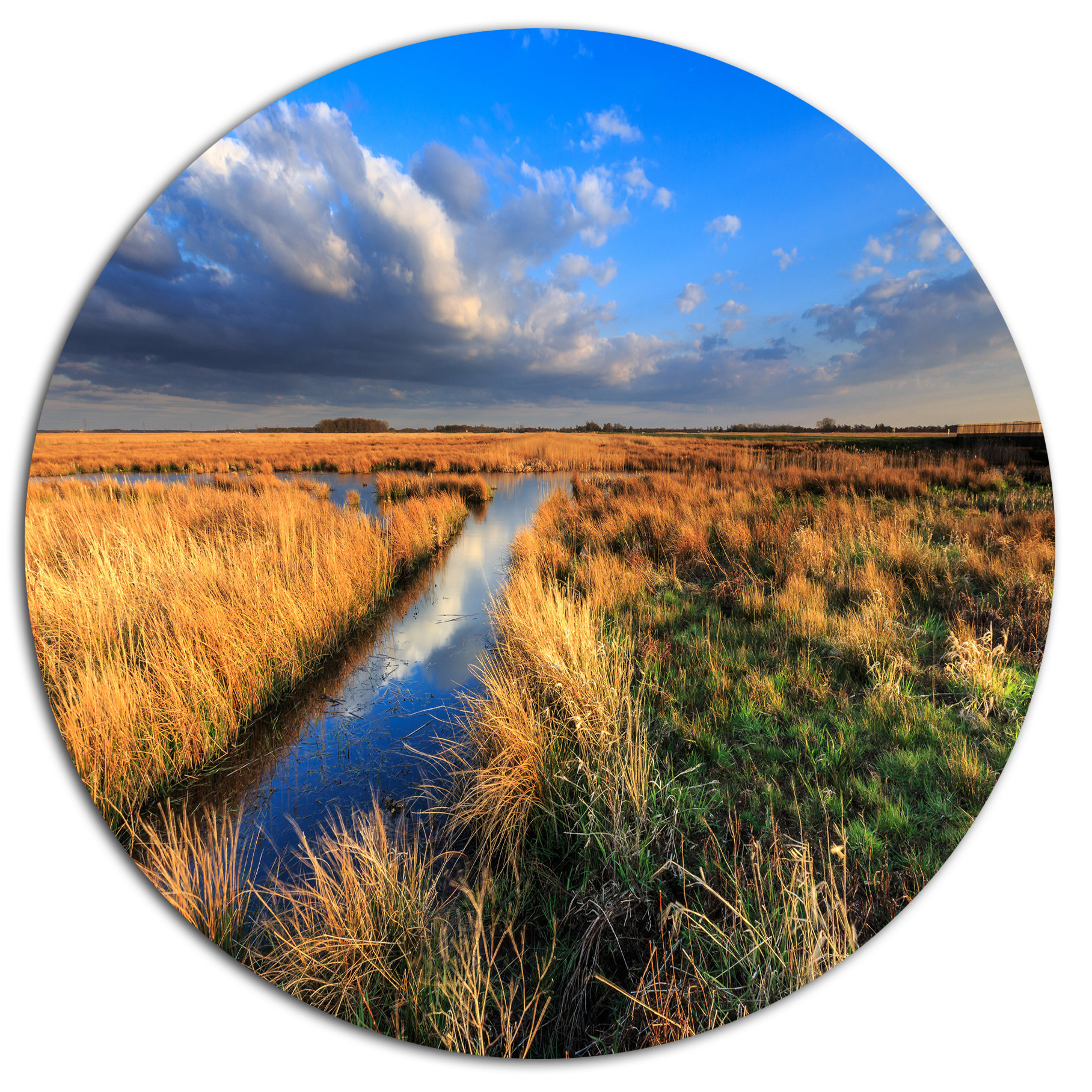 Beautiful Meadow With Blue Sky, Landscape Disc Metal Artwork, Disc of ...
