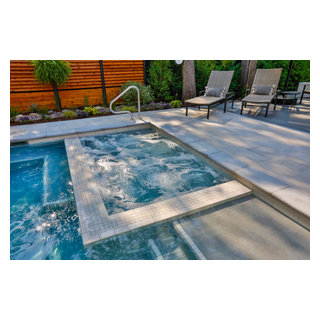 Lemont, IL Rectilinear Pool with Interior Hot Tub - Traditional - Pool ...