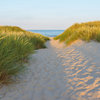 Sandy Path Wall Mural - Beach Style - Wallpaper - by Brewster Home ...