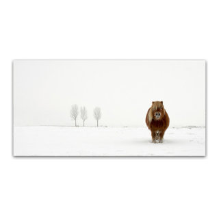 Gert van den 'The Cold Pony' Canvas Art, 32"x 16" - Farmhouse - Prints ...