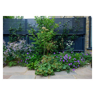 Wimbledon - Contemporary - Landscape - London - by Harry Holding Studio ...