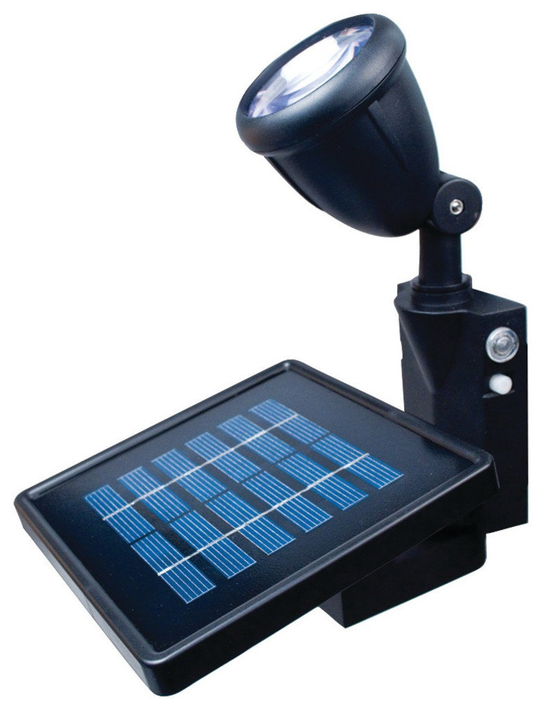 LED Flag Light - Transitional - Outdoor Flood And Spot Lights - by Ami ...