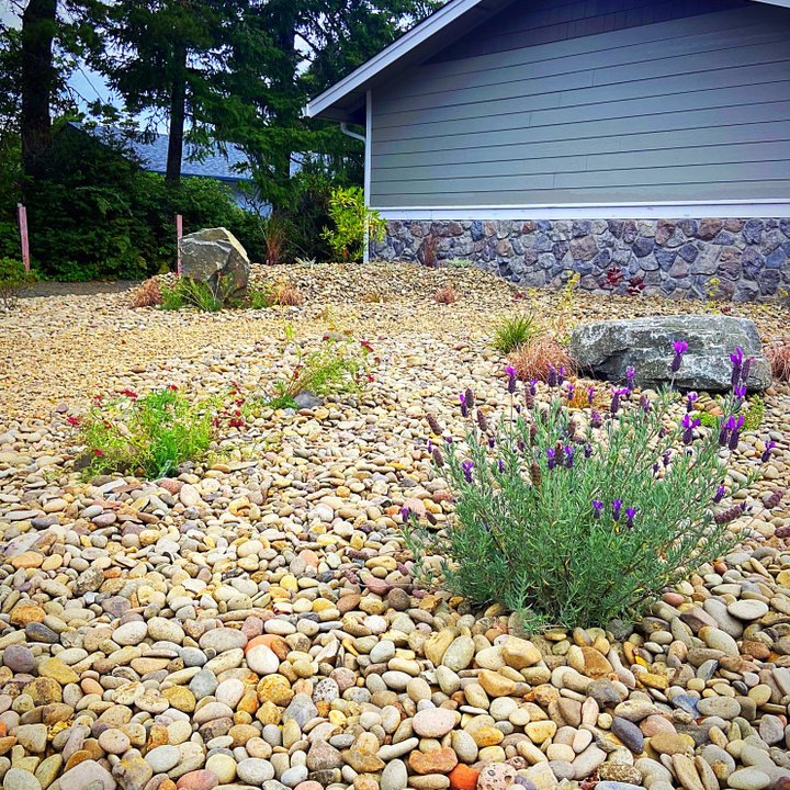 75 Front Yard River Rock Landscaping Ideas You'll Love - April, 2025 ...