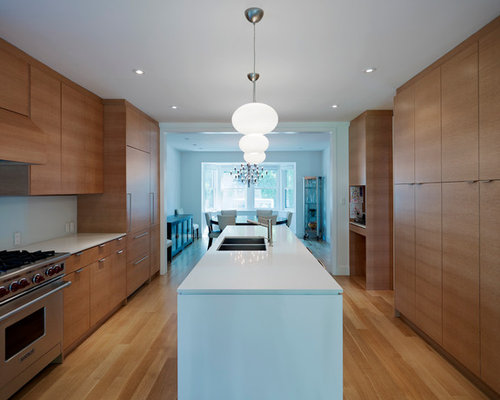 Galley Kitchen With Island Home Design Ideas, Pictures, Remodel and Decor