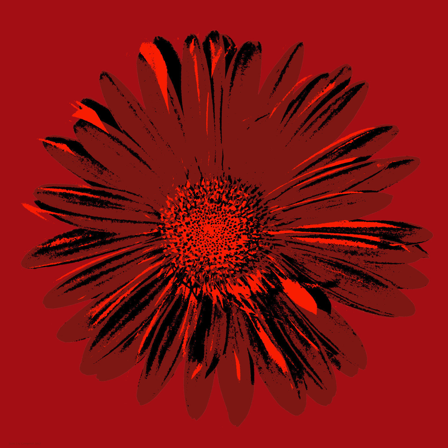 Daisy Pop Art Print, 48x48 Rolled - Contemporary - Prints And Posters ...