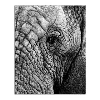 Elephant Face Print on Canvas - Tropical - Prints And Posters - by ...