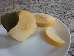 Crimea quince fruit review | Houzz Forum