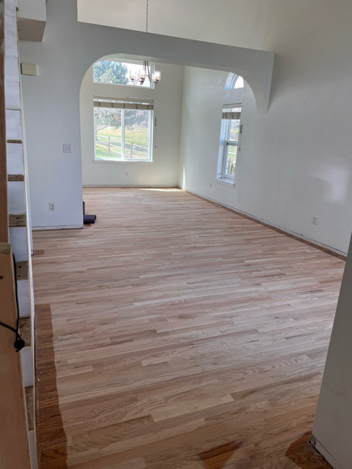 choice fatigue… stain choices… help!