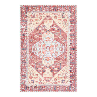 Safavieh Saffron Sfn350P Traditional Rug, Rust/Aqua, 5'x8 ...