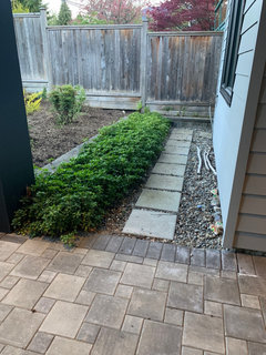 Pathway side of house