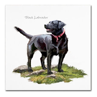 The Macneil Studio 'Black Labrador' Canvas Art, 14"x14" - Contemporary ...