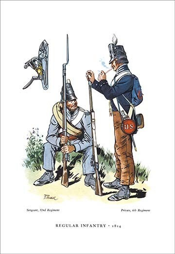 Regular Infantry, 1814, 24" x 36" - Traditional - Prints And Posters ...