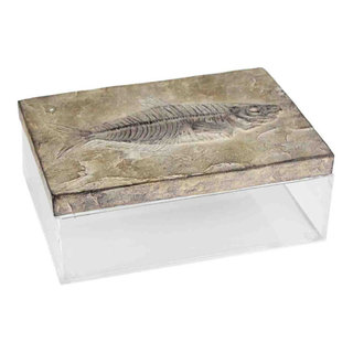 Eccentric Fish Fossil Polyresin With Acrylic Box, Brown - Beach Style ...