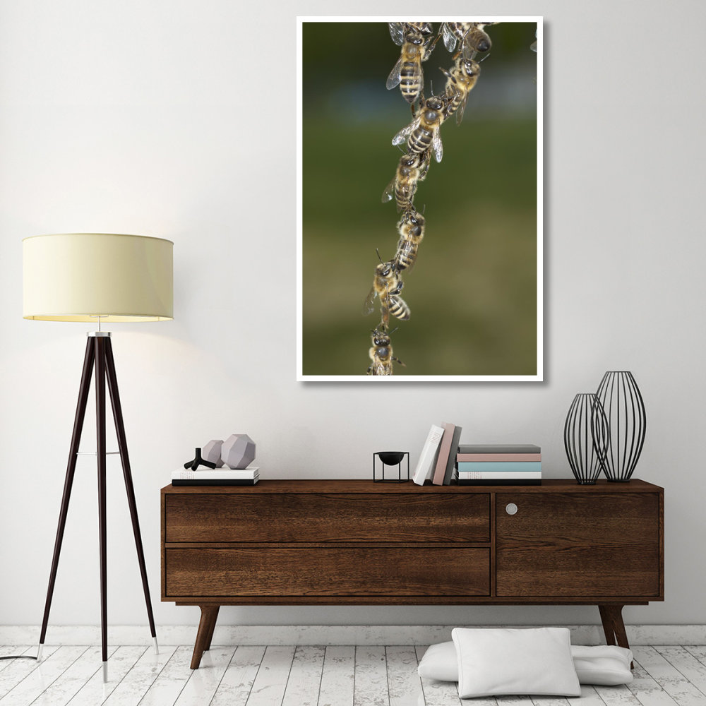 "Honey Bee chains made to repair honeycomb, Germany" Paper Art, 14"x20 ...