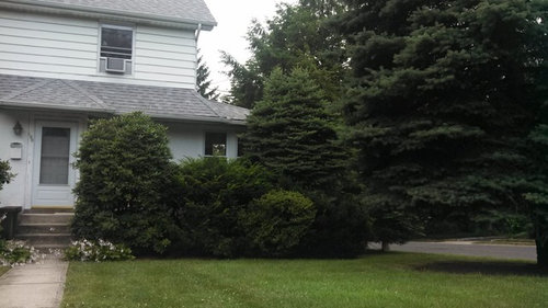 First house, boring front exterior, and insane front landscaping.