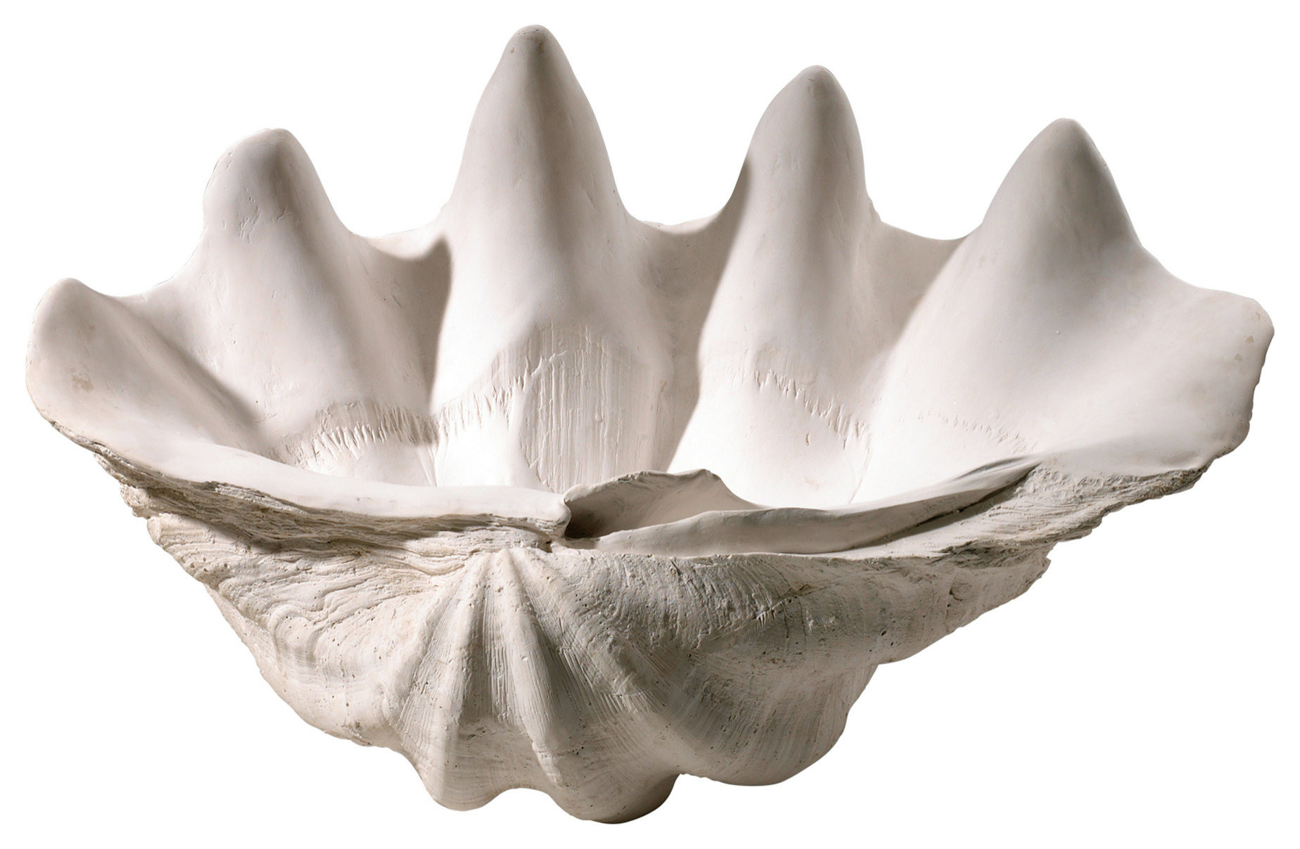 Clam Shell Bowl in White, 21.000 - Beach Style - Decorative Bowls - by ...