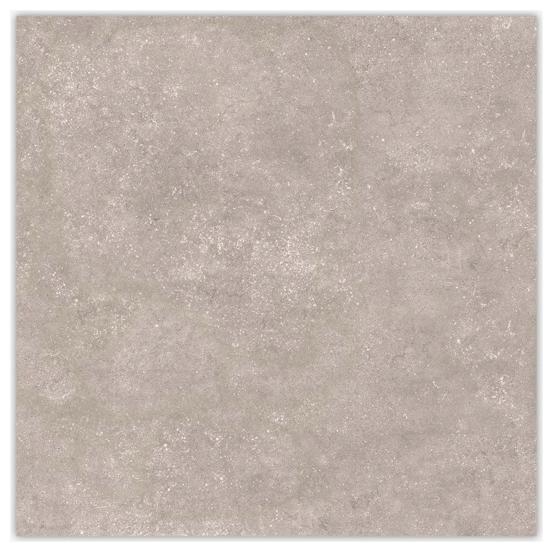 Ark Anthracite Polished 24x24 Porcelain Tile, 24X24 - Traditional ...