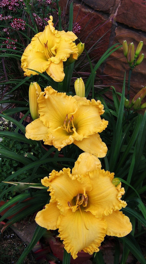 Tulsa Hit with 100 mph winds