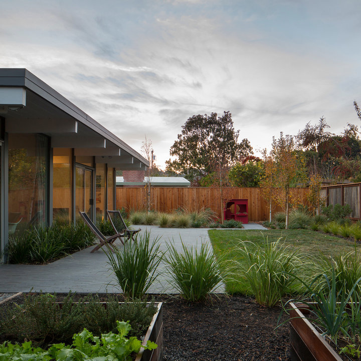 75 Mid-Century Modern Landscaping Ideas You'll Love - December, 2025 ...