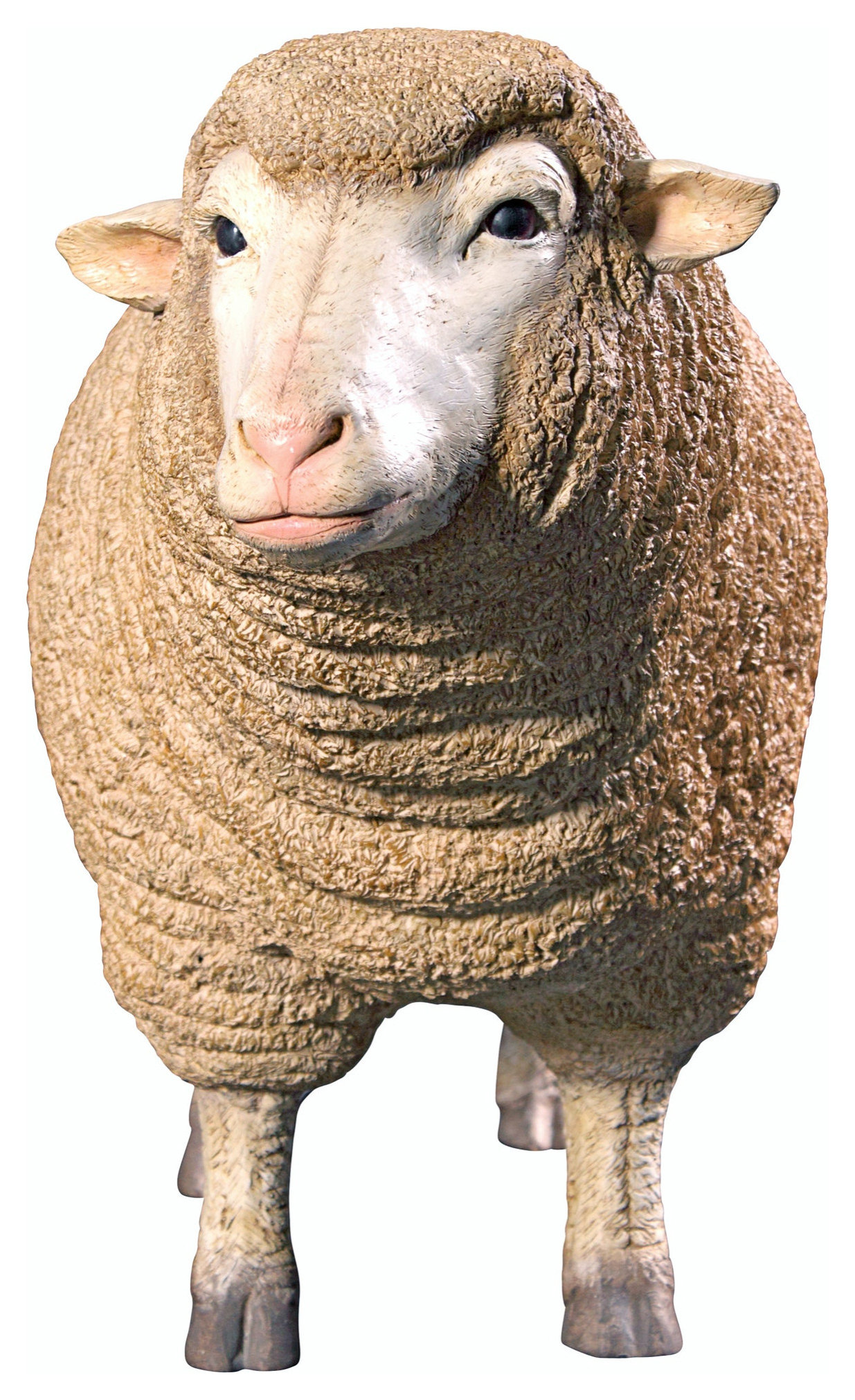 Merino Ewe With Head Up - Farmhouse - Garden Statues And Yard Art - by ...