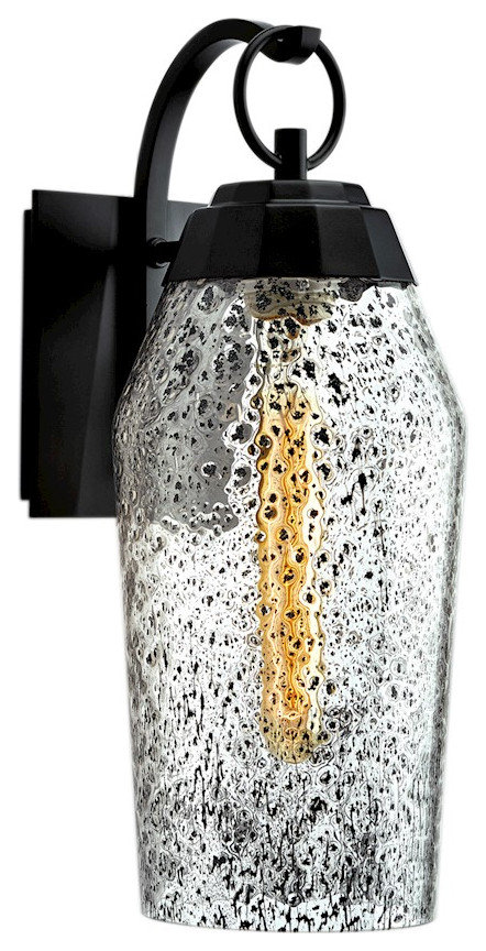 Norwell Lighting Lyrids 1 Light Outdoor 14" Wall Light, Black/Glass ...