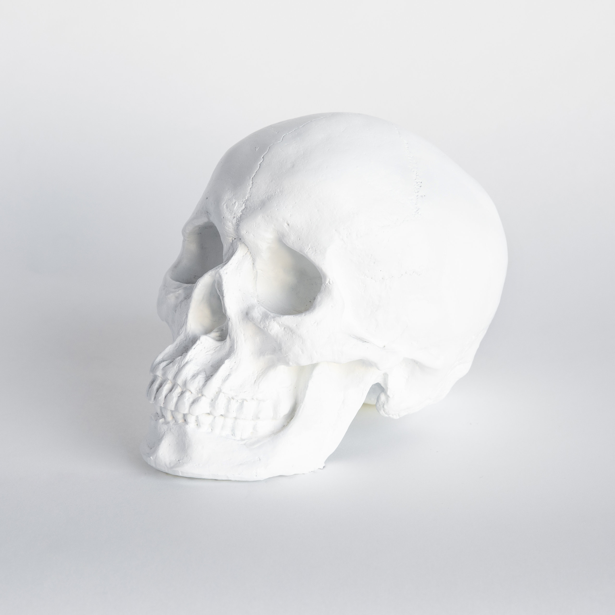 Faux Human Skull, Resin Home Decor, Table Top Skeleton Head - Eclectic ...
