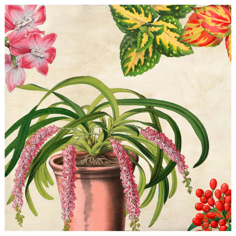 "Panneau Botanique VII" Digital Paper Print by Remy Dellal, 20"x20", 42 ...