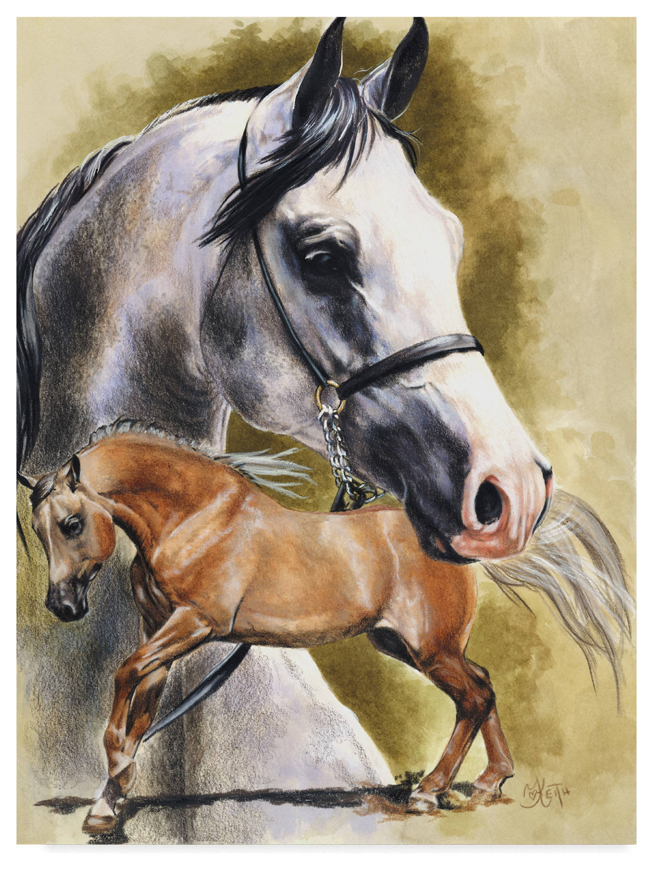 "Anglo Arab" by Barbara Keith, Canvas Art, 32"x24" - Contemporary ...