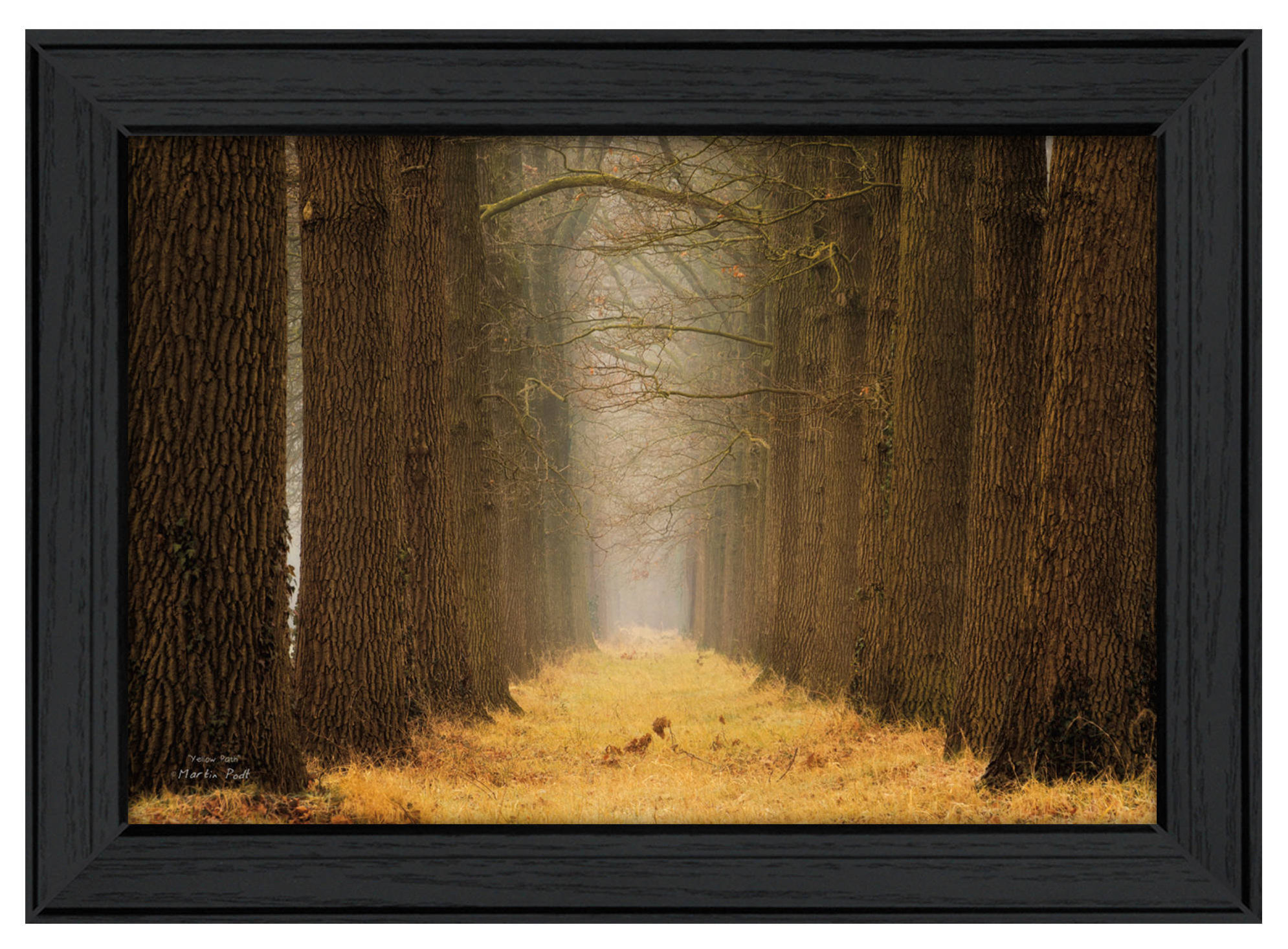 "Yellow Path" By Martin Podt, Printed Wall Art, Ready To Hang, Black ...