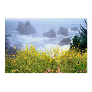 Steve Terrill Samuel H Boardman State Park, Oregon Coast Art Print, 30 ...