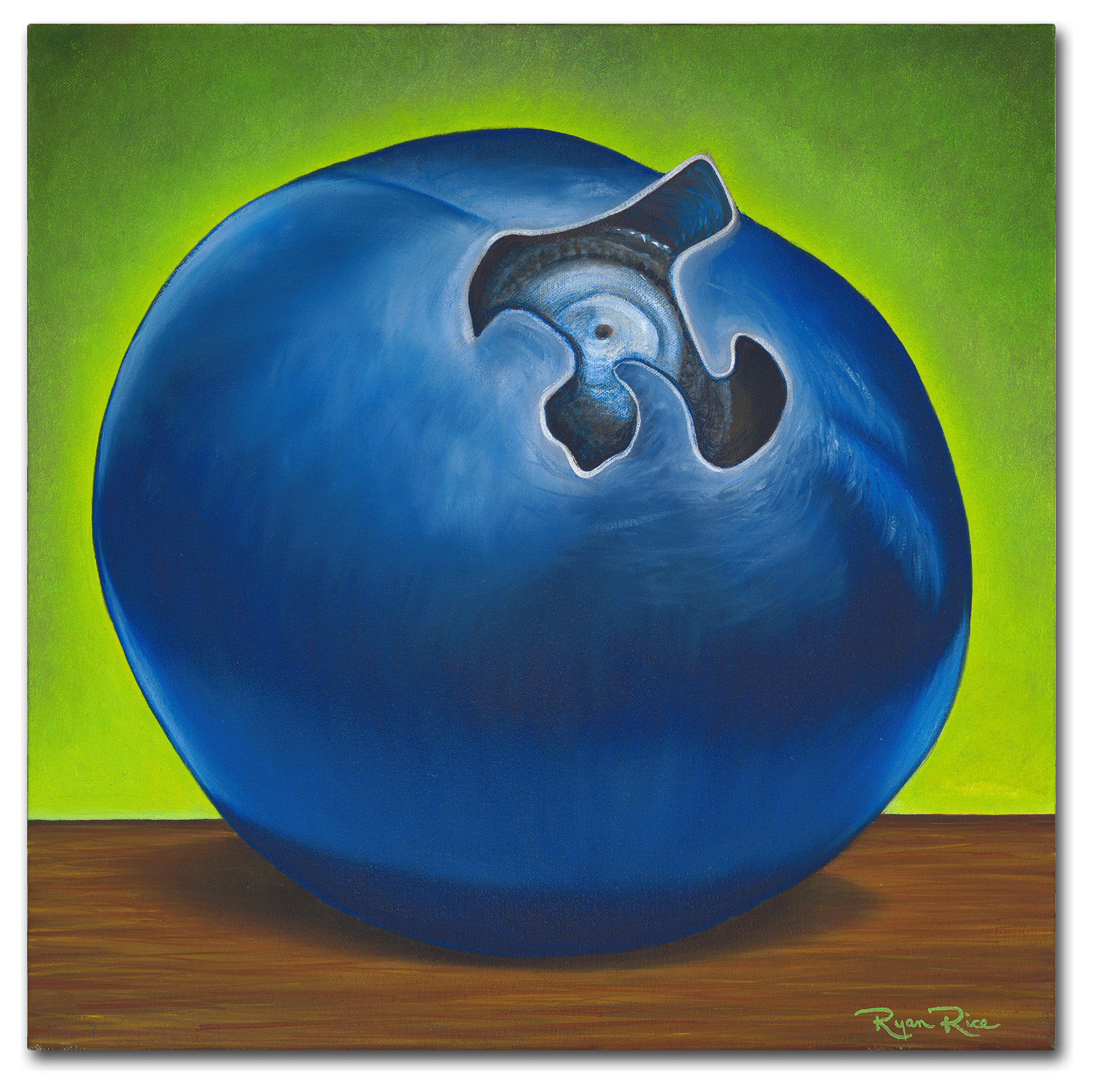 Ryan Rice Fine Art 'Blueberry Pi' Canvas Art, 18"x 18" - Farmhouse ...