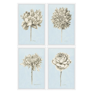 White Blooms Quadriptych, 24x36 - Contemporary - Prints And Posters ...