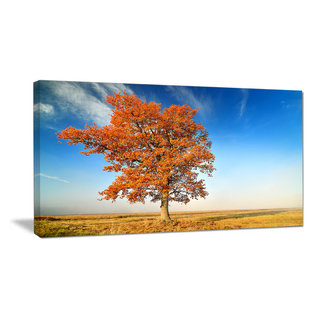 "Colorful Lonely Fall Tree" Landscape Canvas Photo Print, 32"x16 ...